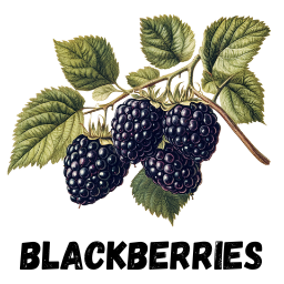 Berries For Zone 9 - Hardy Varieties For Warm Winters