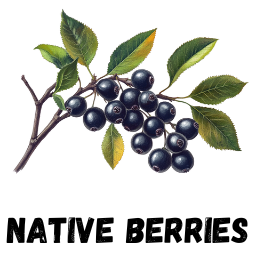 Berries For Zone 2 - Extreme Cold Climate Berry Plants
