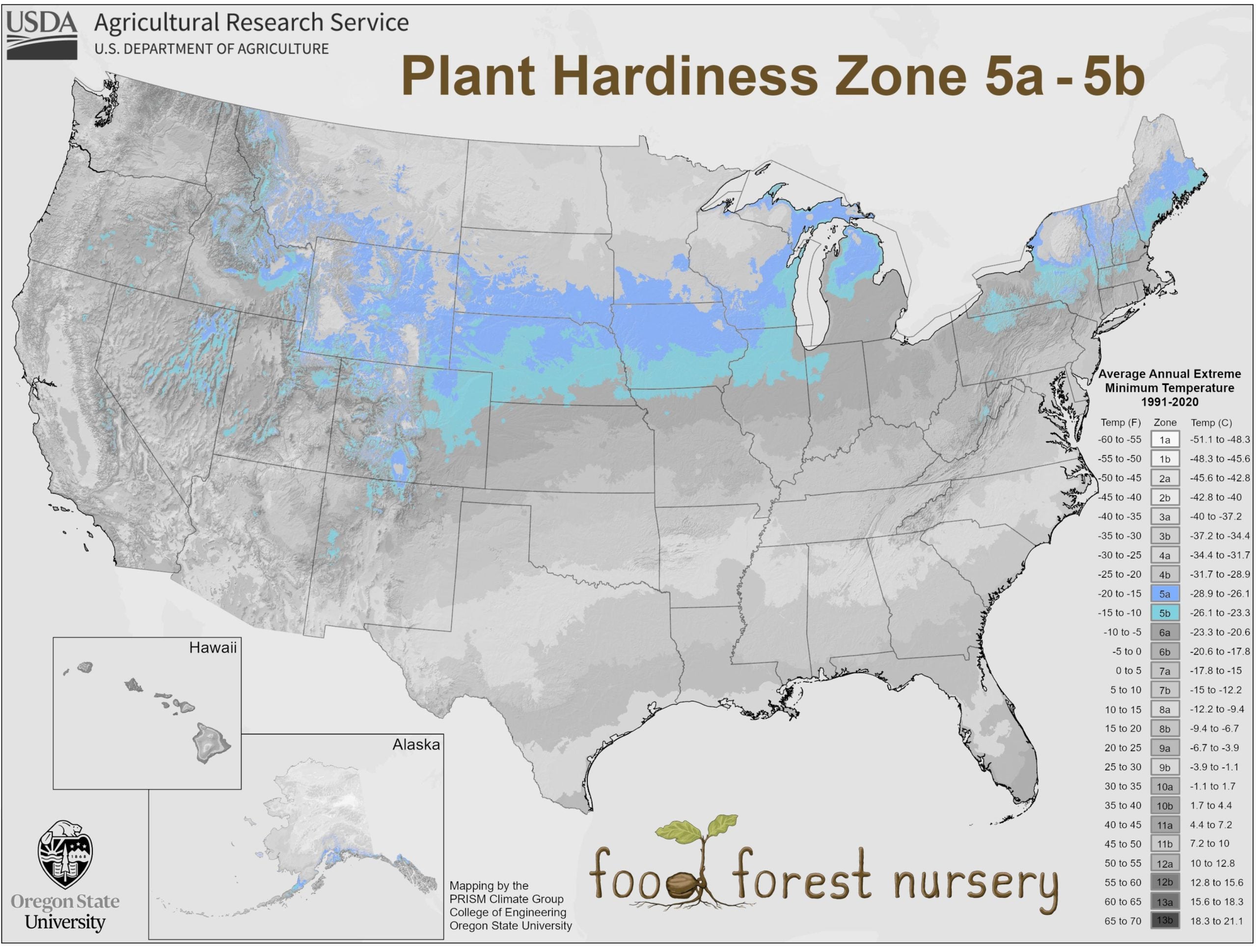 Berries For Zone 5 - Hardy Varieties For Cold Climates