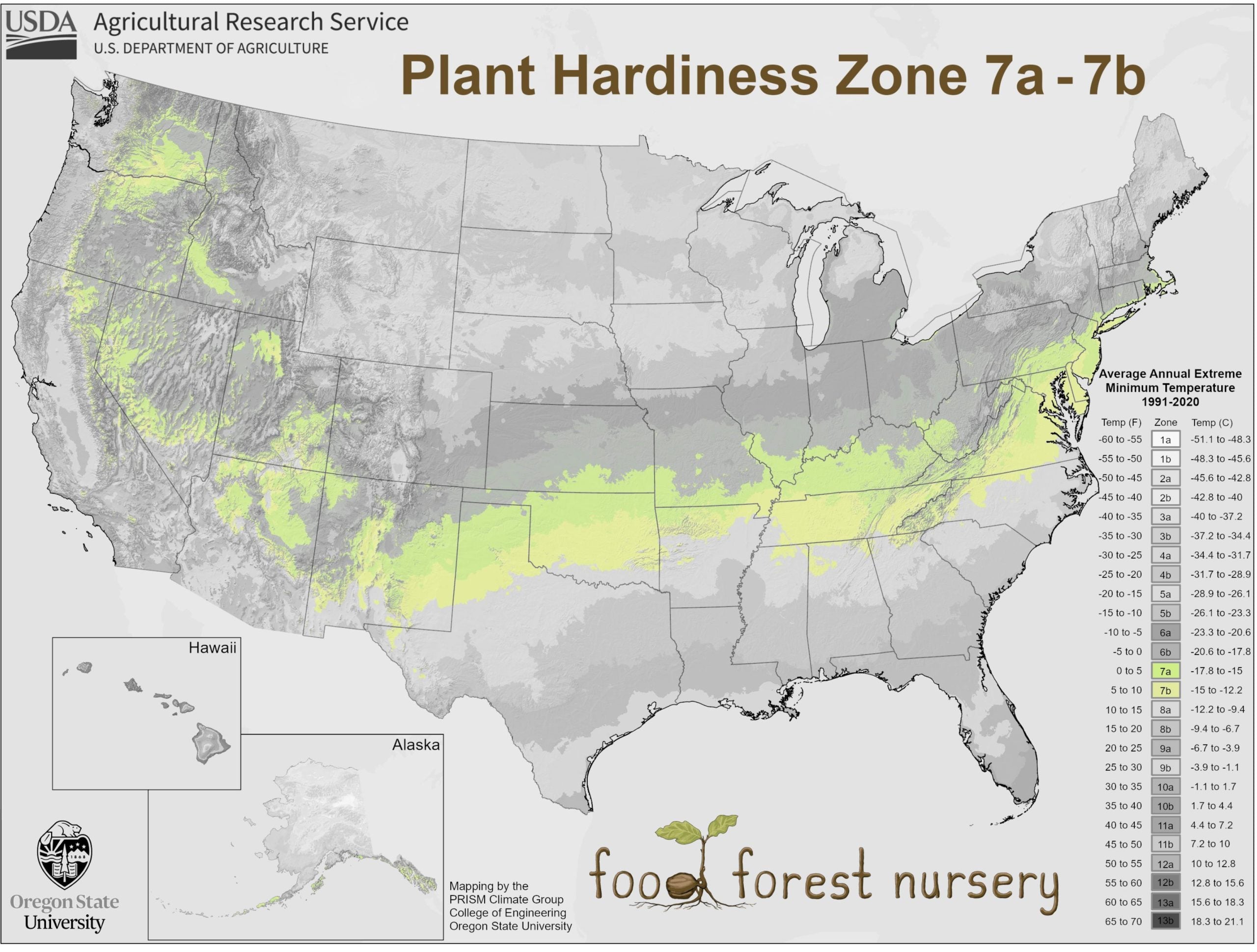 Fruit Trees For Zone 7 - Hardy Varieties For Your Garden