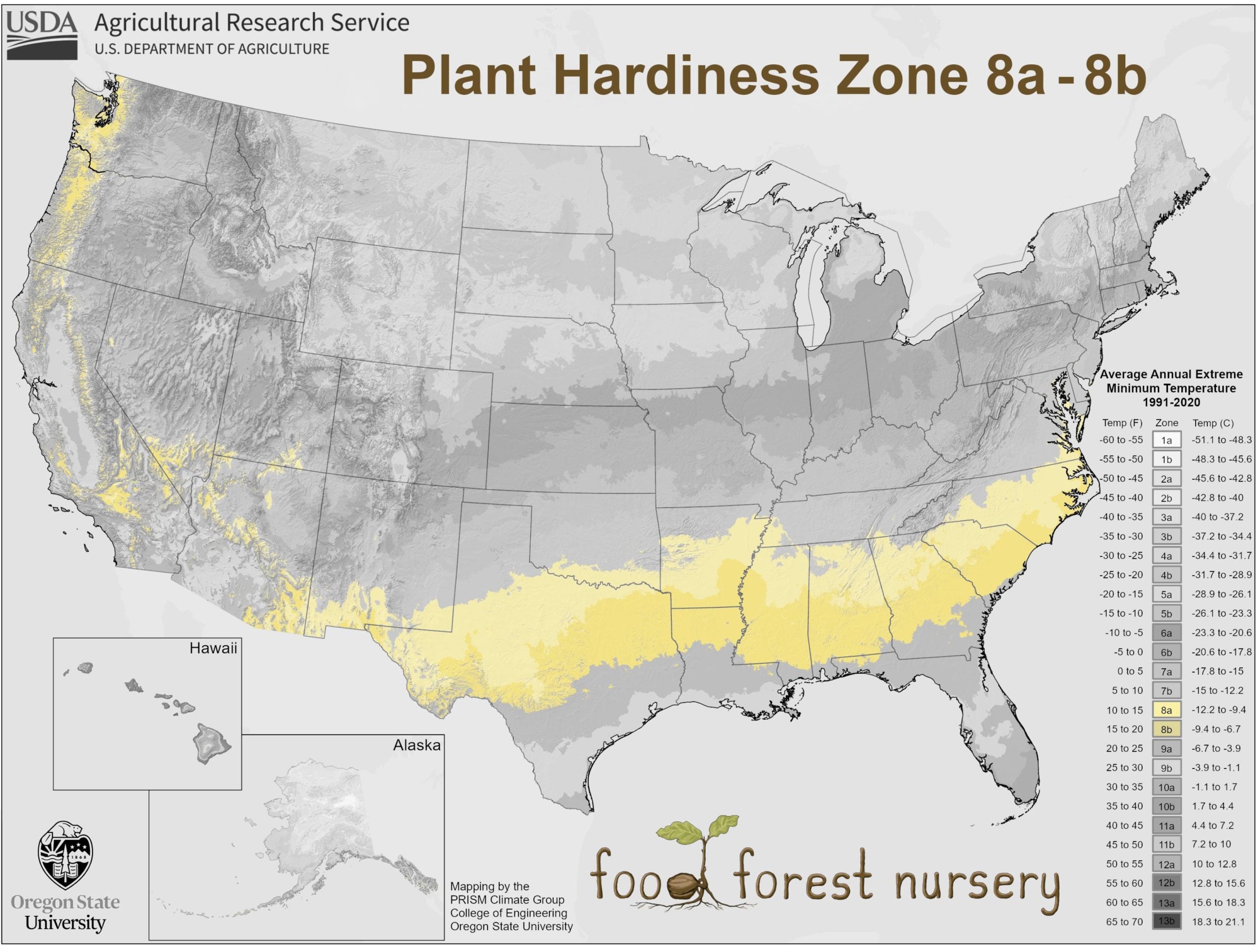 Fruit Trees For Zone 8 - Heat-Tolerant Varieties For Warm Climates